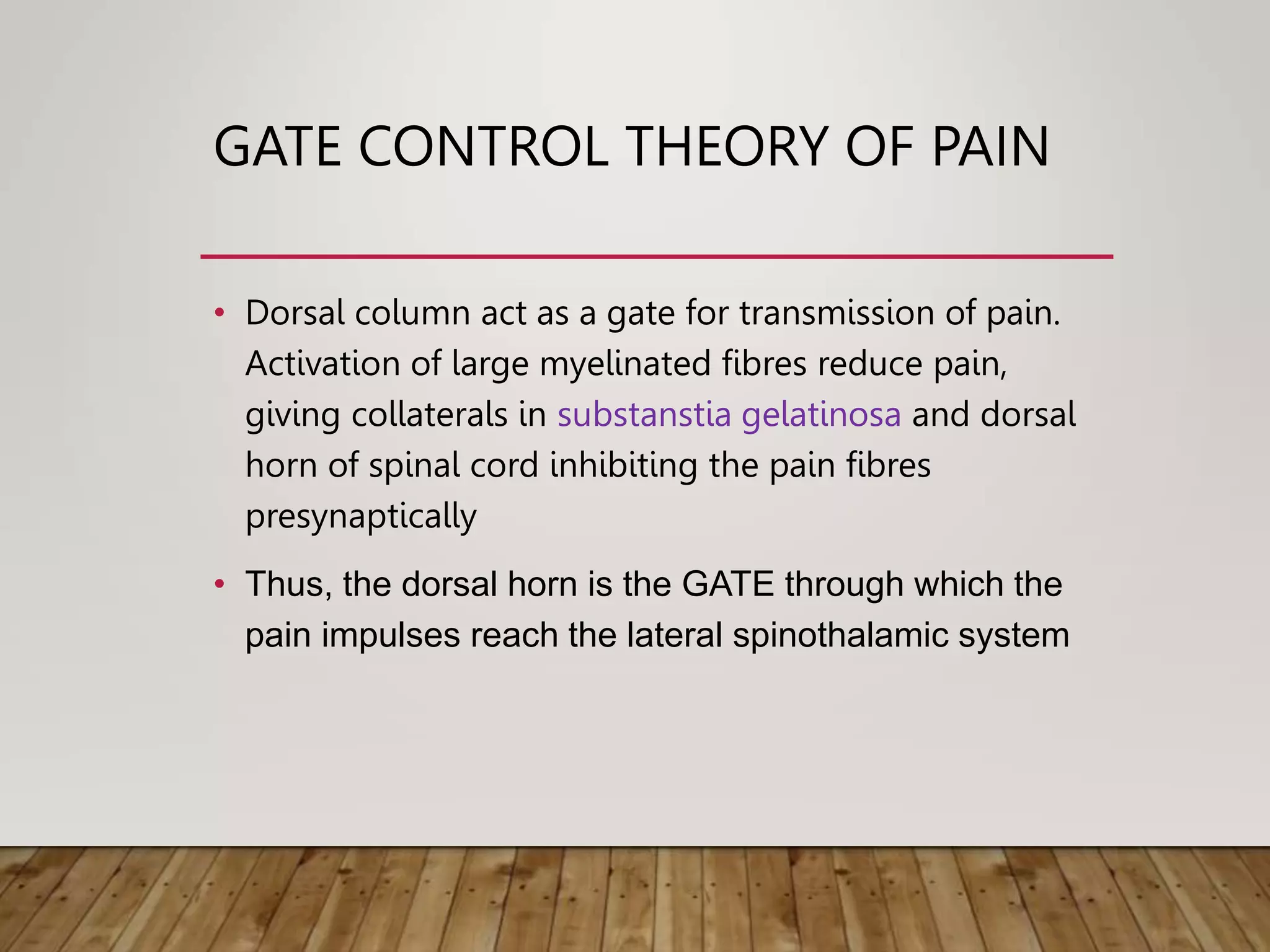 Pain analgesia system.ppt