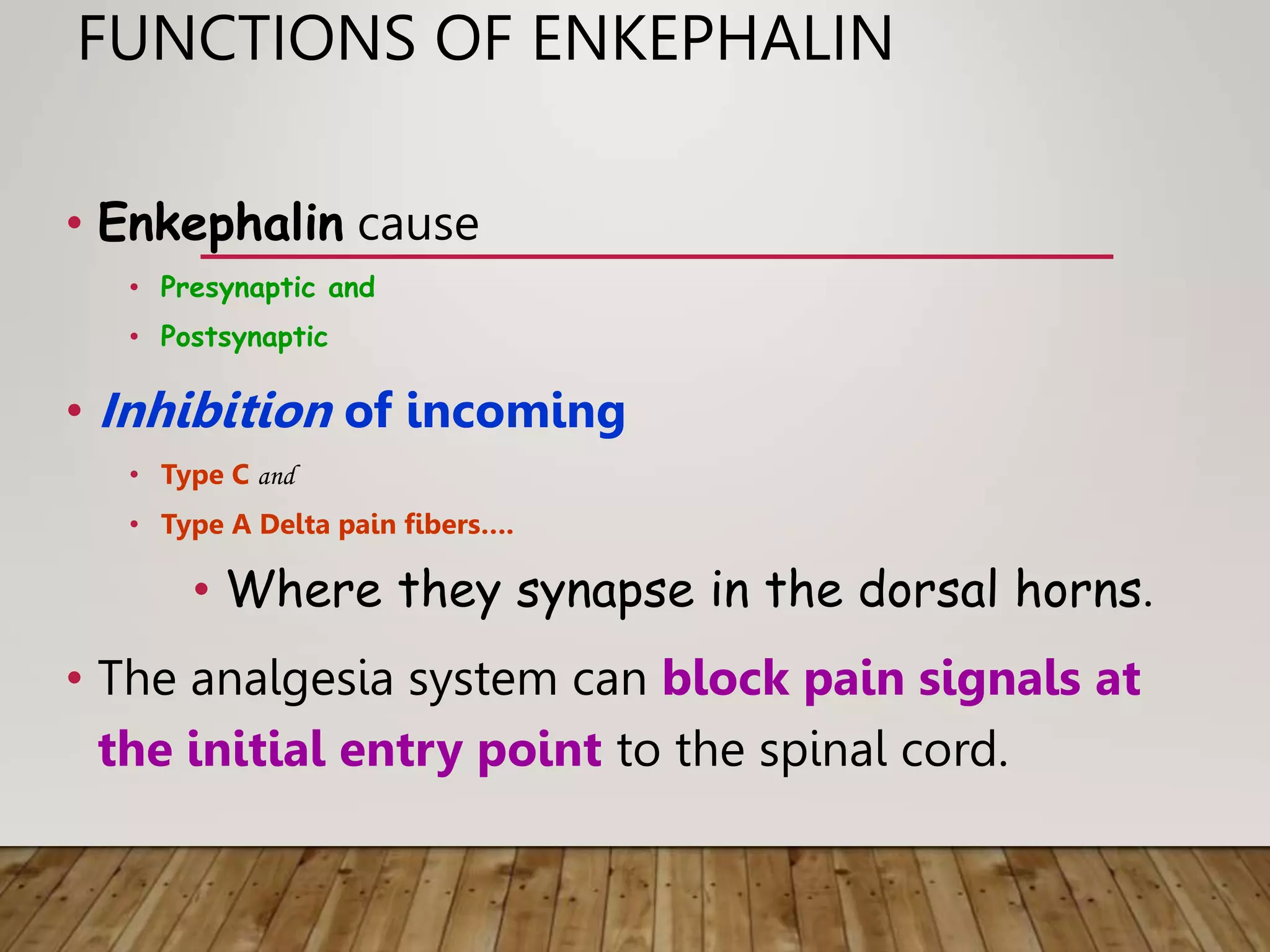 Pain analgesia system.ppt