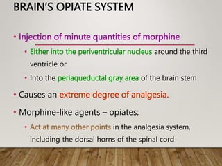Pain analgesia system.ppt
