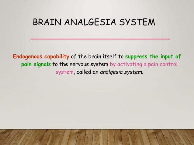 Pain analgesia system.ppt