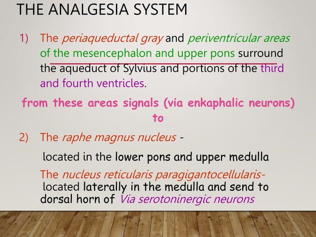 Pain analgesia system.ppt