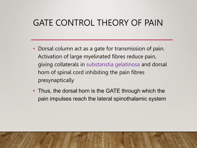 Pain analgesia system.ppt