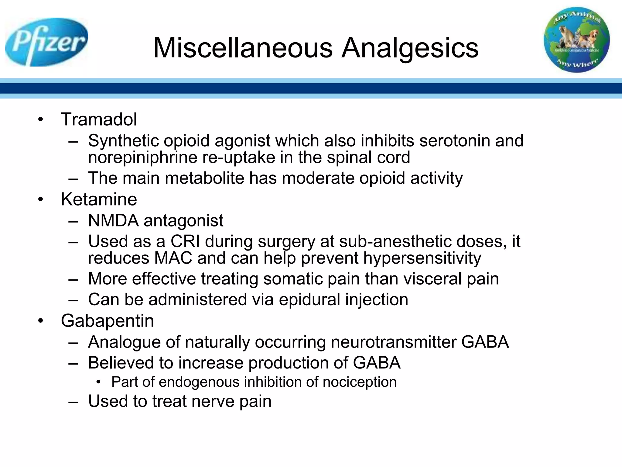 Pain_and_Analgesia-Lisa_Johnson.ppt