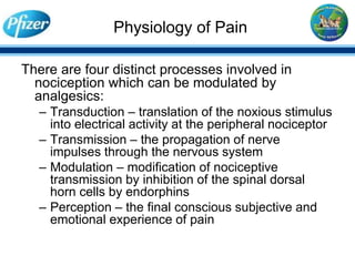 Pain_and_Analgesia-Lisa_Johnson.ppt