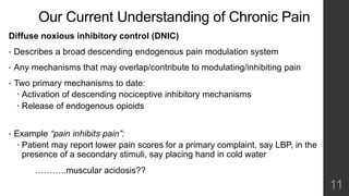 Pain and Exercise: Mechanisms and Theories | PPT