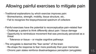 Pain and Exercise: Mechanisms and Theories | PPT