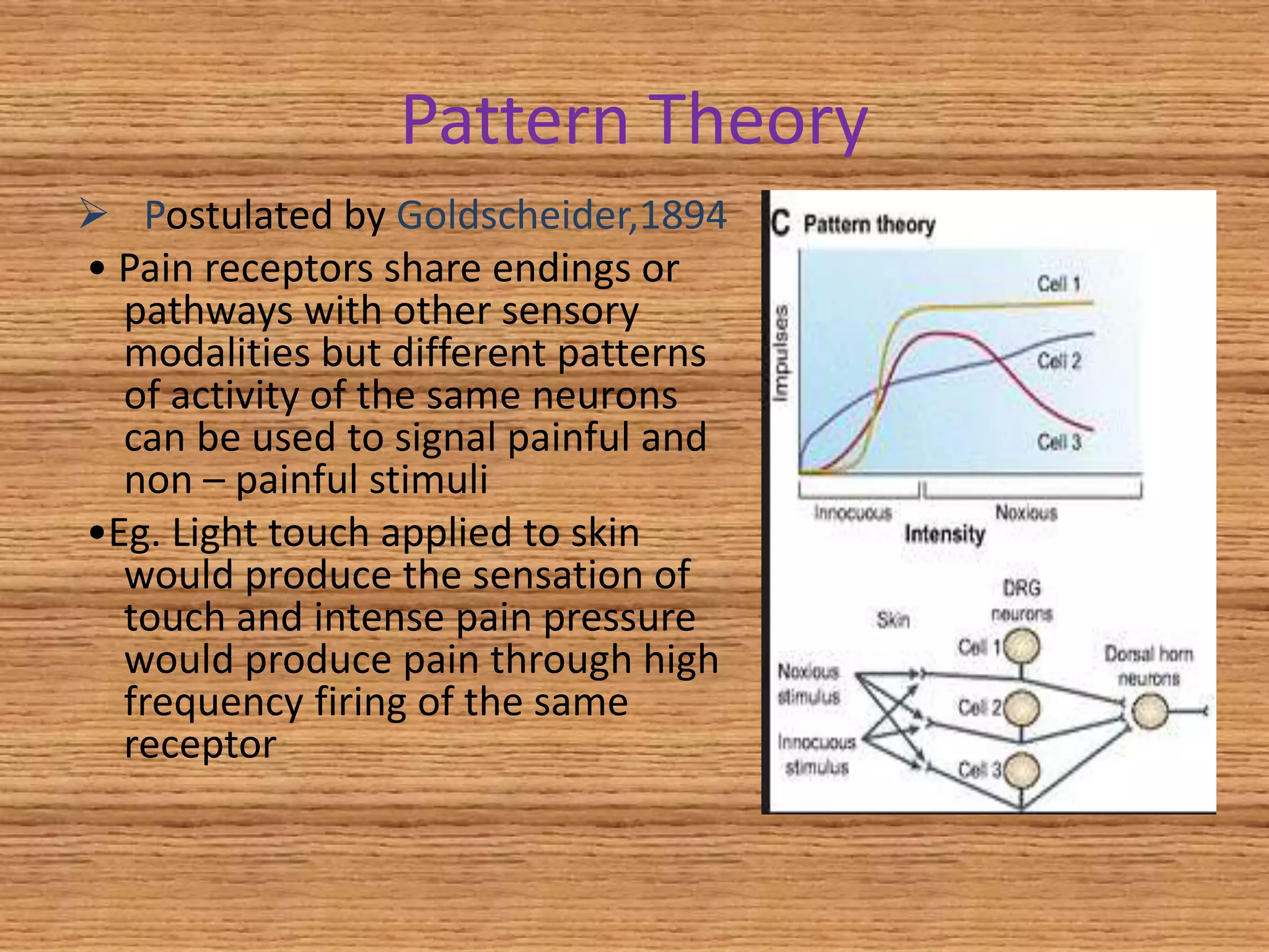 Pain and its pathway | PPTX