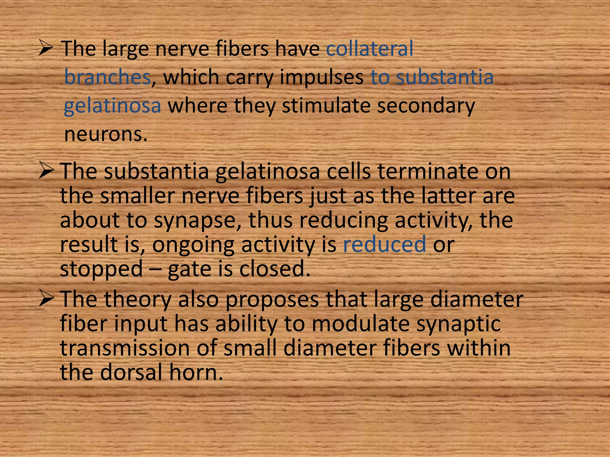 Pain and its pathway | PPTX