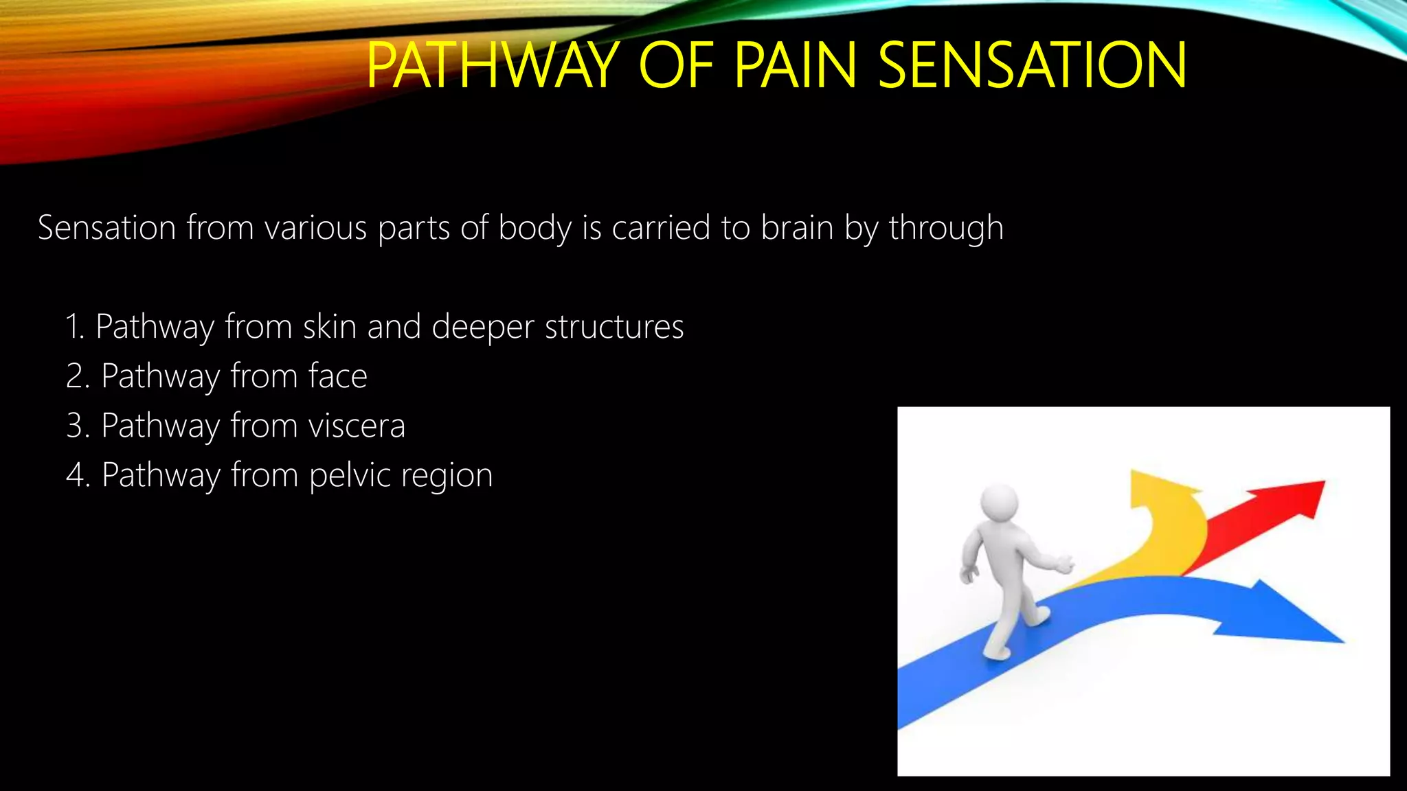 Pain and its pathway | PPTX