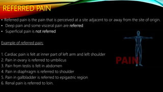 Pain and its pathway | PPTX