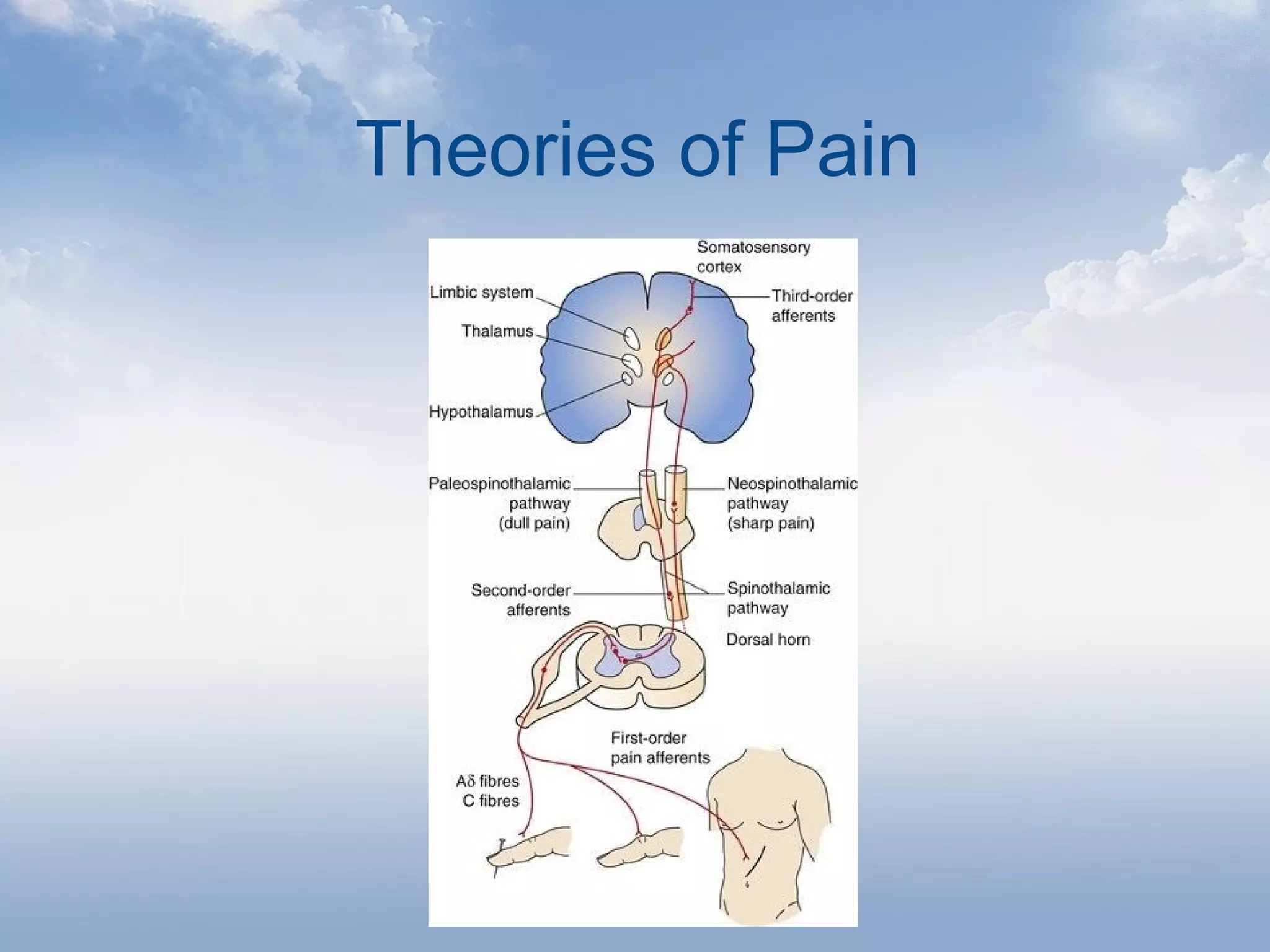 Pain and its pathways | PPT