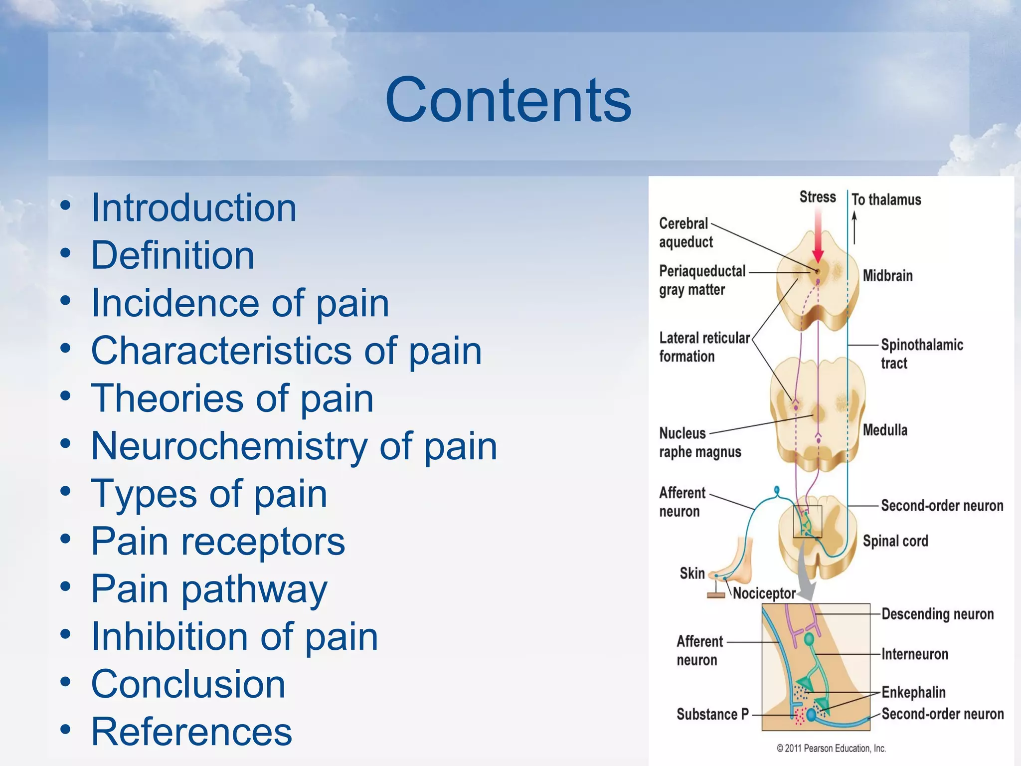 Pain and its pathways | PPT