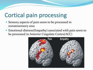 PAIN AND PAIN-PATHWAY.pptx