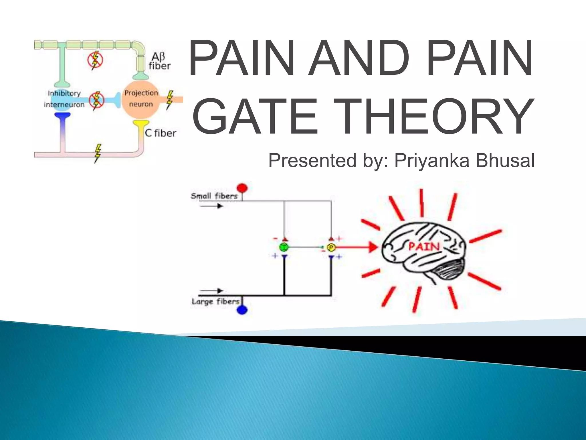 pain and pain gate theory.pptx