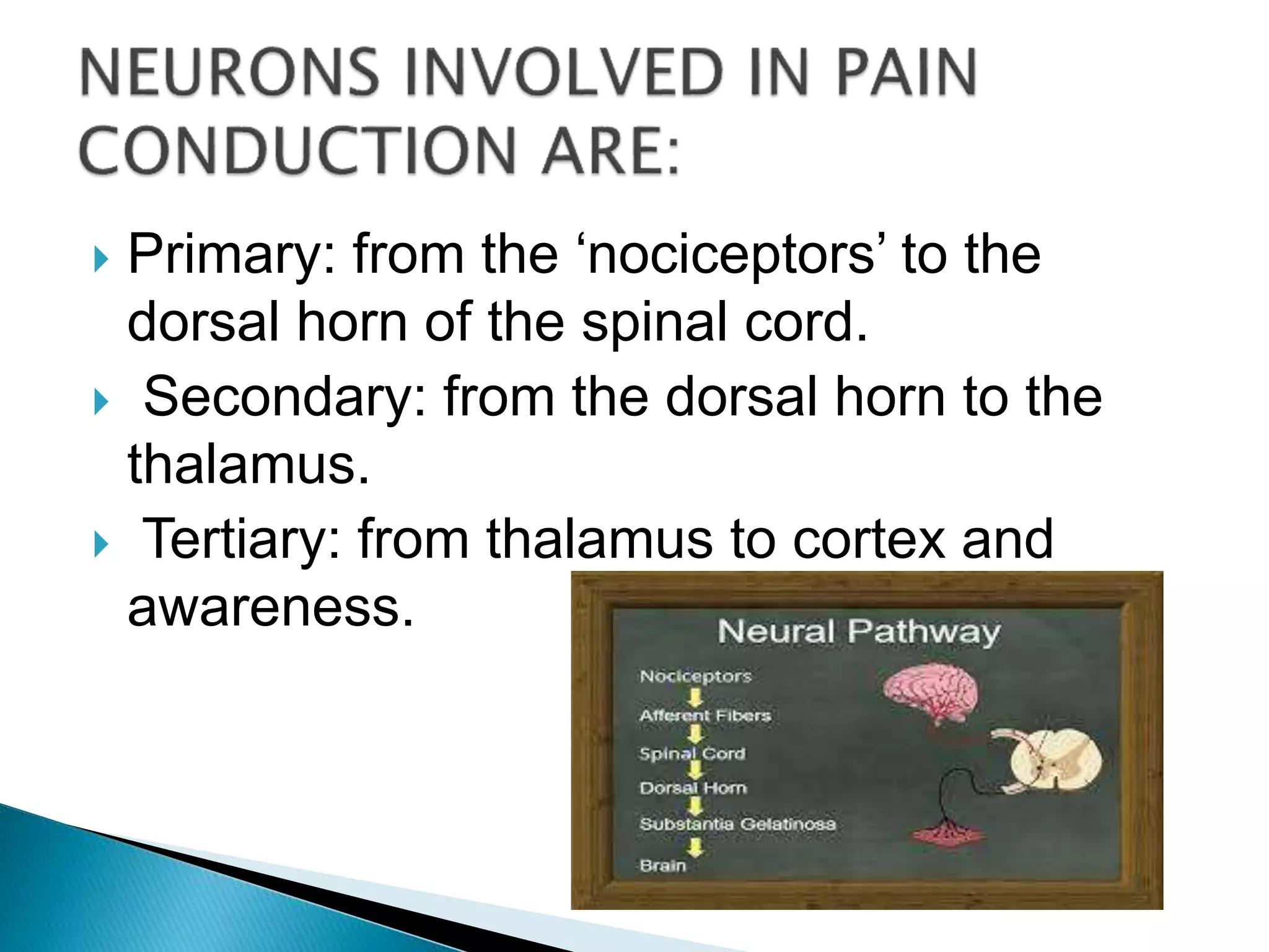 pain and pain gate theory.pptx