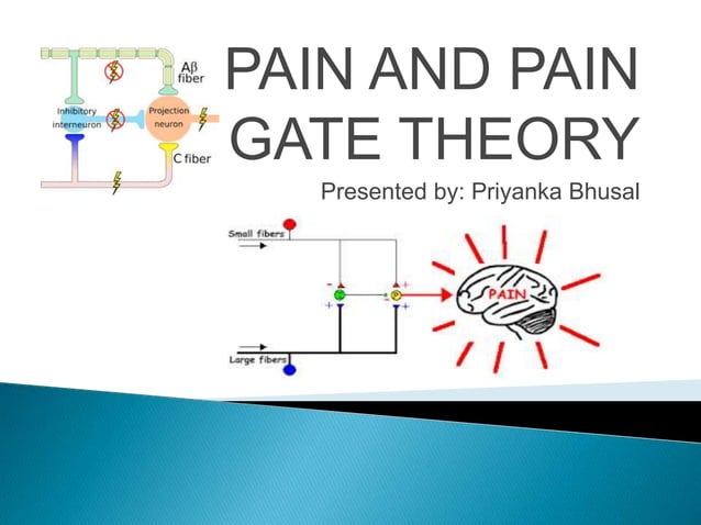 pain and pain gate theory.pptx