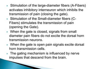 pain and pain gate theory.pptx