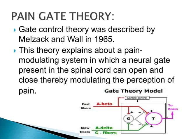 pain and pain gate theory.pptx