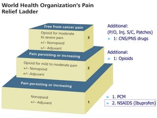 Pain and pain killers: A stepwise approach & guide (with focus on nsai ...