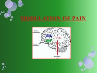 Pain and pain pathways | PPTX