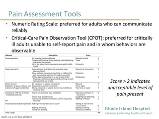 Pain and Sedation in Critically Ill Patients | PPTX