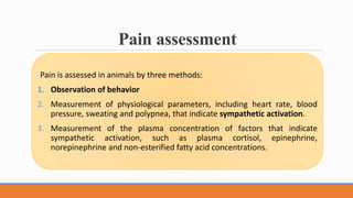 Pain and Stress by Dr. Ali Hassan Awan.pptx