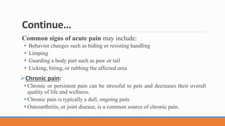 Pain and Stress by Dr. Ali Hassan Awan.pptx