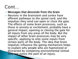 Pain and theories of pain_114349.pPain and theories of pain_114349ptx ...