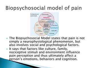 Pain and theories of pain_114349.pPain and theories of pain_114349ptx ...