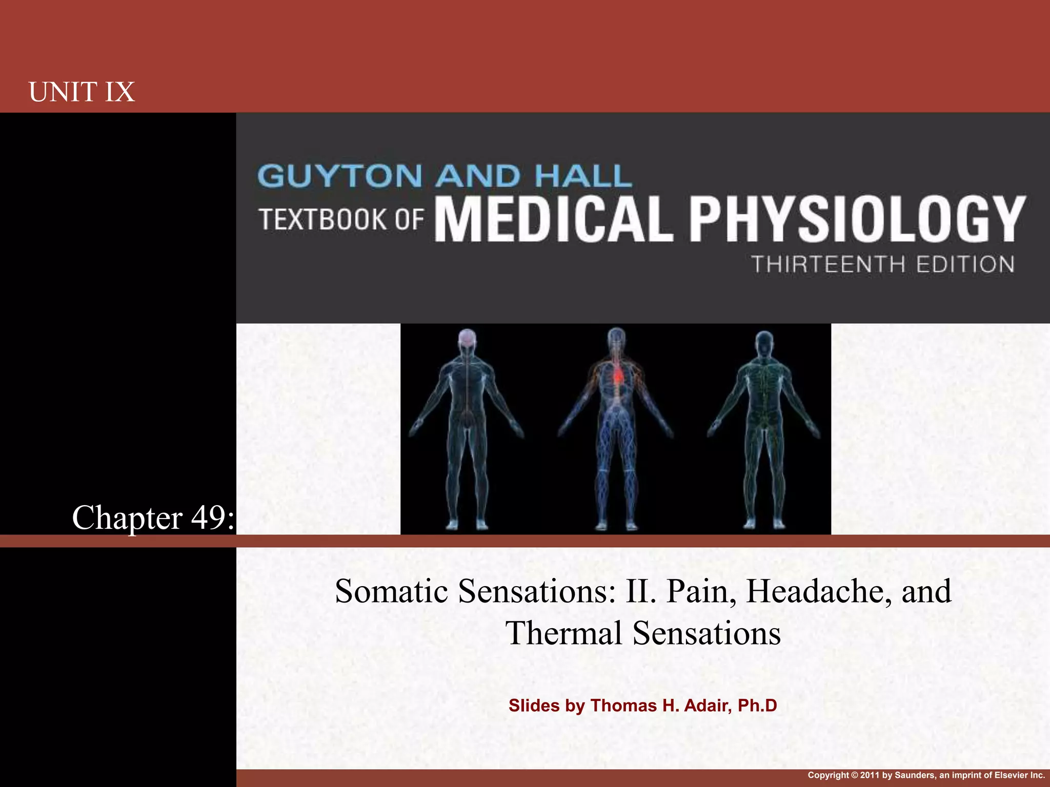 Pain and thermal sensations | PPT | Brain and Nervous System Disorders ...