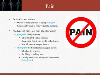 Pain and thermal sensations | PPT