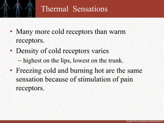 Pain and thermal sensations | PPT