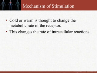 Pain and thermal sensations | PPT