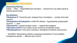 pain physiology and pharmacology Anaesthesia | PPTX