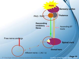 Pain as 5 th vs | PDF