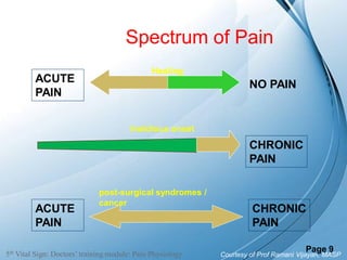 Pain as 5 th vs | PDF