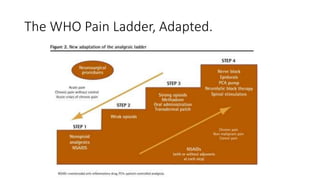 Pain as a 5th Vital Sign.pptx