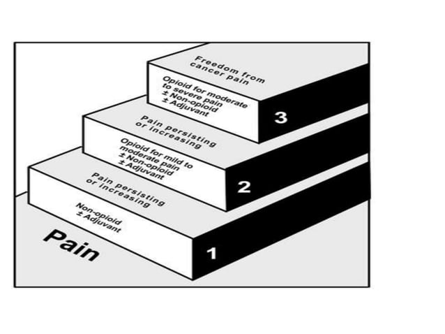 Pain Assessment (1).ppt