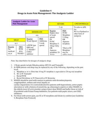 Pain as the 5 th vital sign guidelines for doctors | PDF