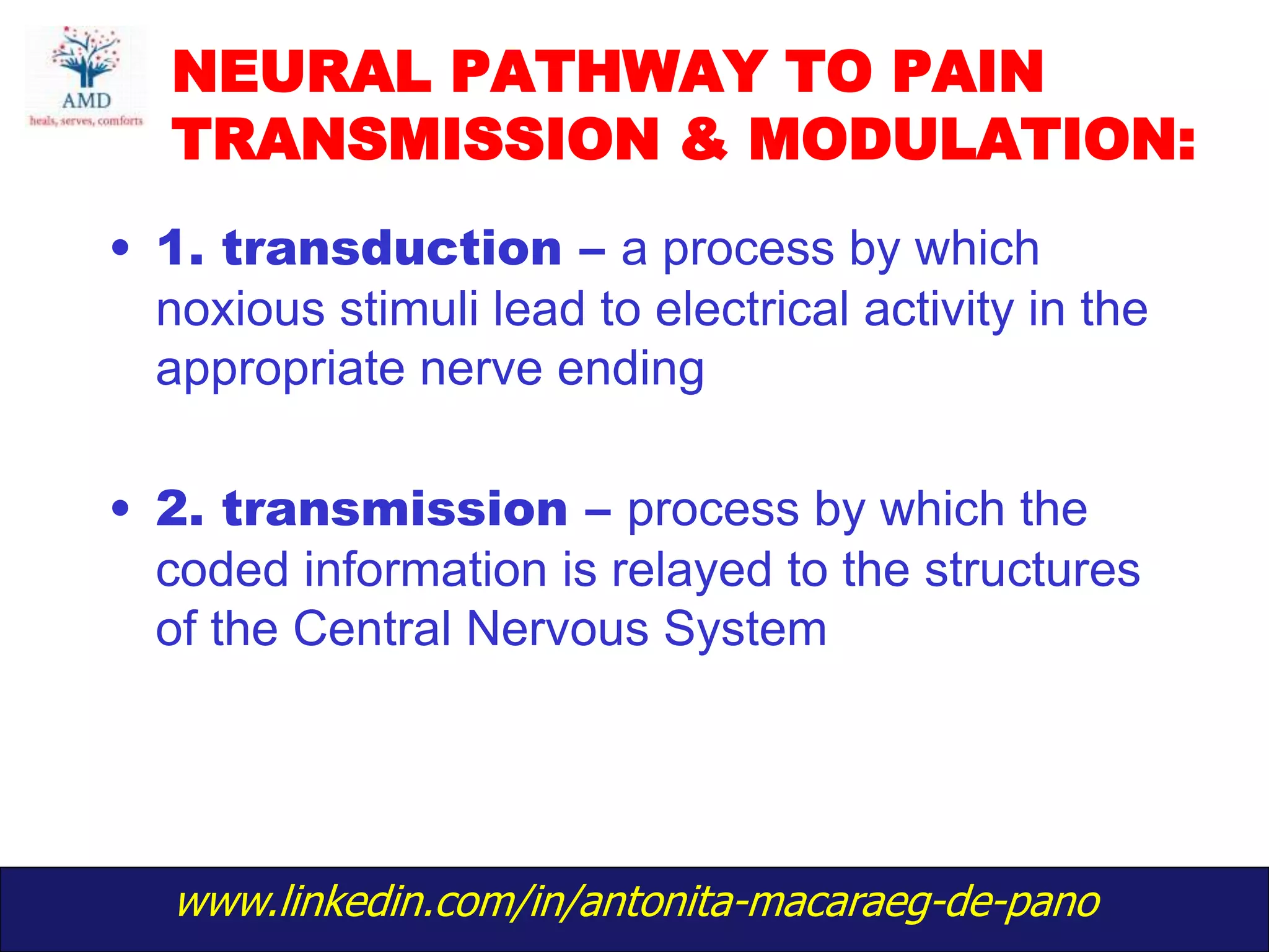 Basics of Pain Physiology | PPT