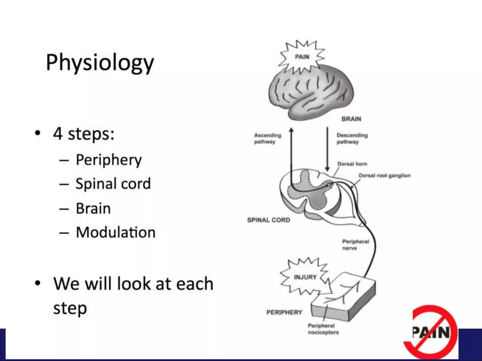 Basics of Pain Physiology | PPT