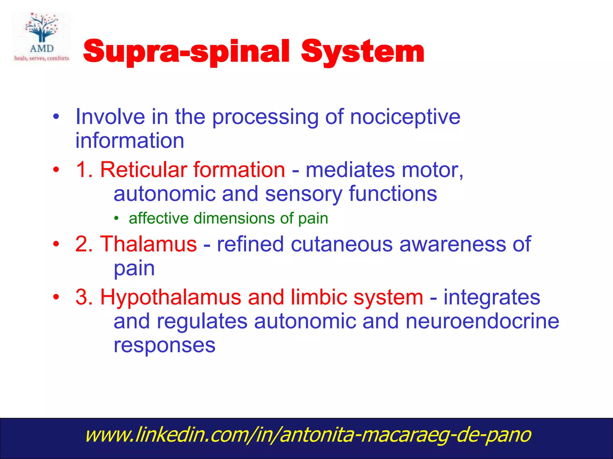Basics of Pain Physiology | PPT