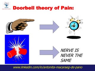 Basics of Pain Physiology | PPT