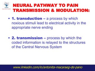 Basics of Pain Physiology | PPTX