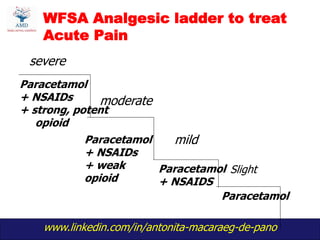 Basics of Pain Physiology | PPTX