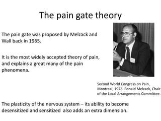assessment and physiotherapy management of pain in elderly | PPTX