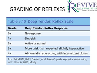 Pain Clinic Evaluation - History and Examination | PPTX