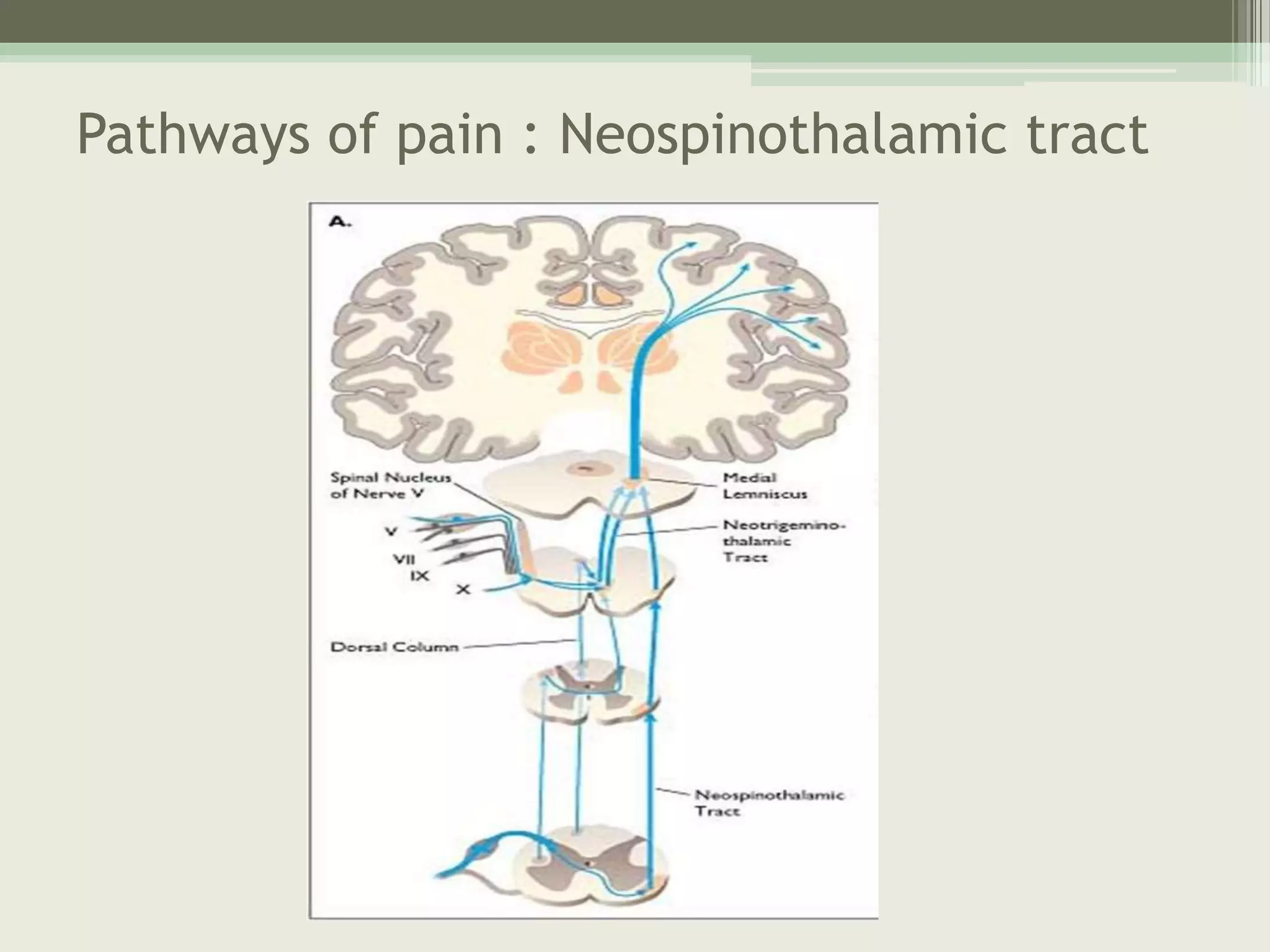 Pain control in restorative procedure | PPTX