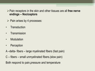 Pain control in restorative procedure | PPTX
