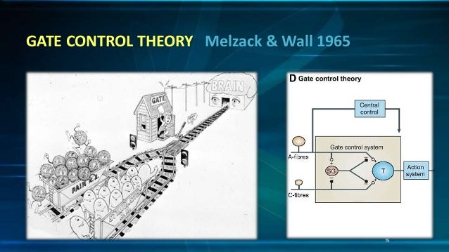 Pain control in operative dentistry